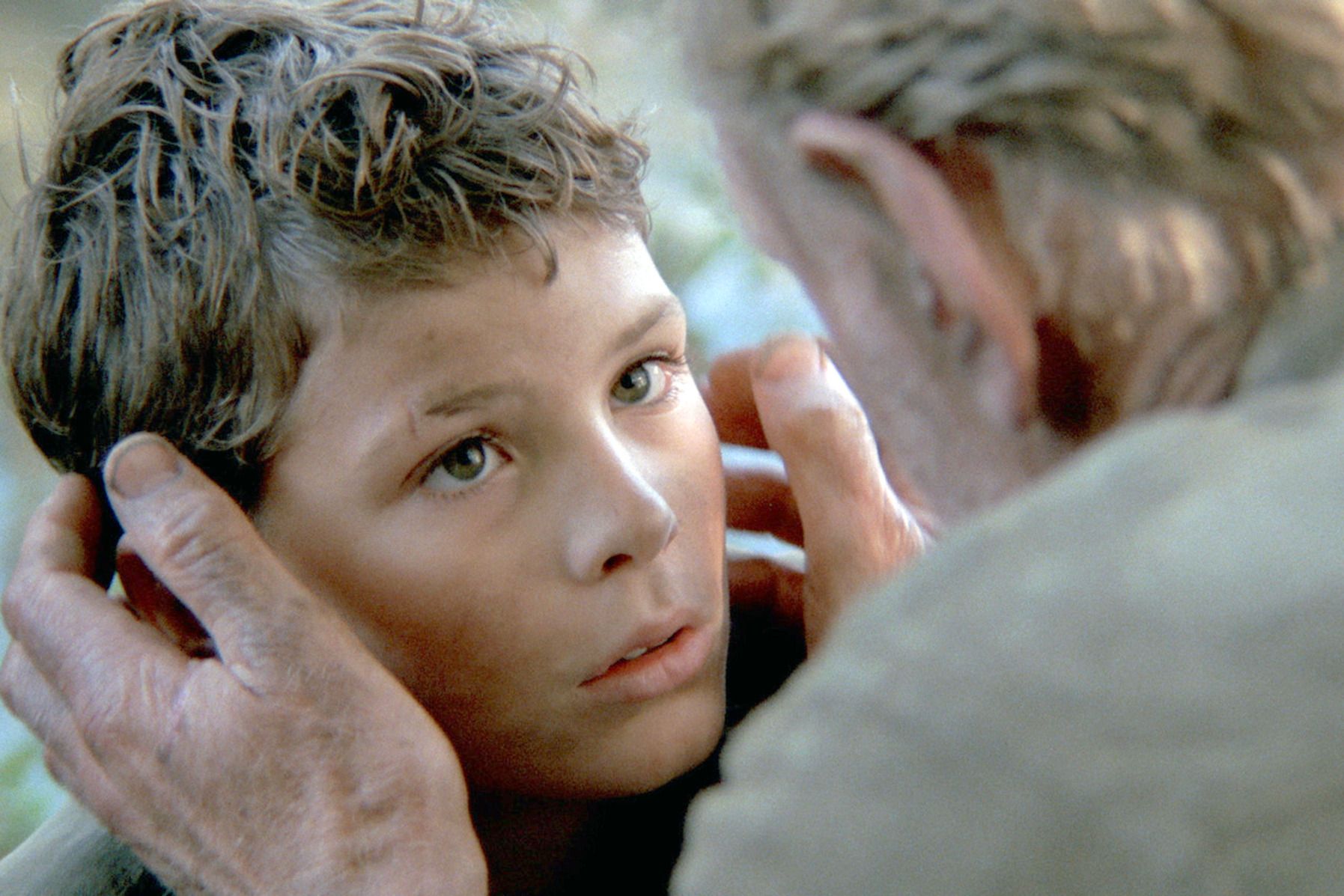 Test Blu-ray / Pelle le conquérant, réalisé par Bille August ...