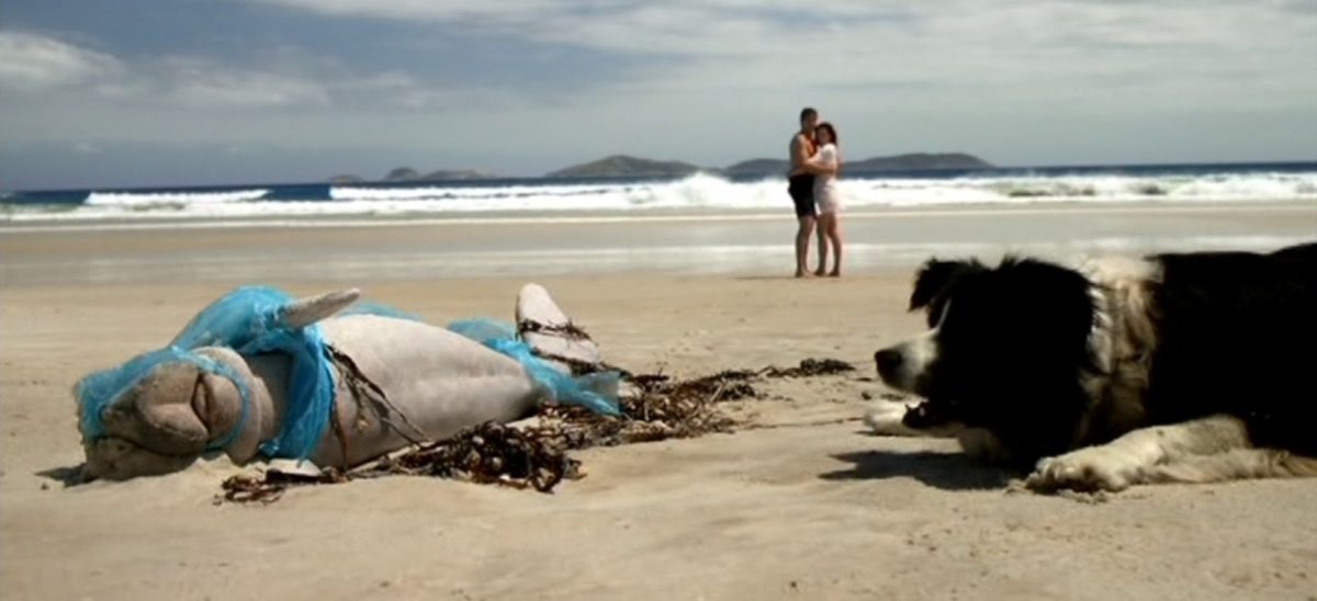 Test Blu-ray / Long Weekend, réalisé par Colin Eggleston – Homepopcorn.fr