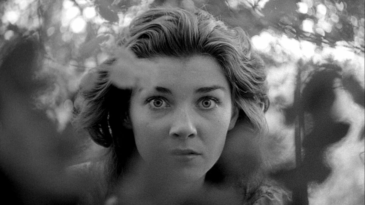 Test Blu-ray / Fear and Desire, réalisé par Stanley Kubrick ...