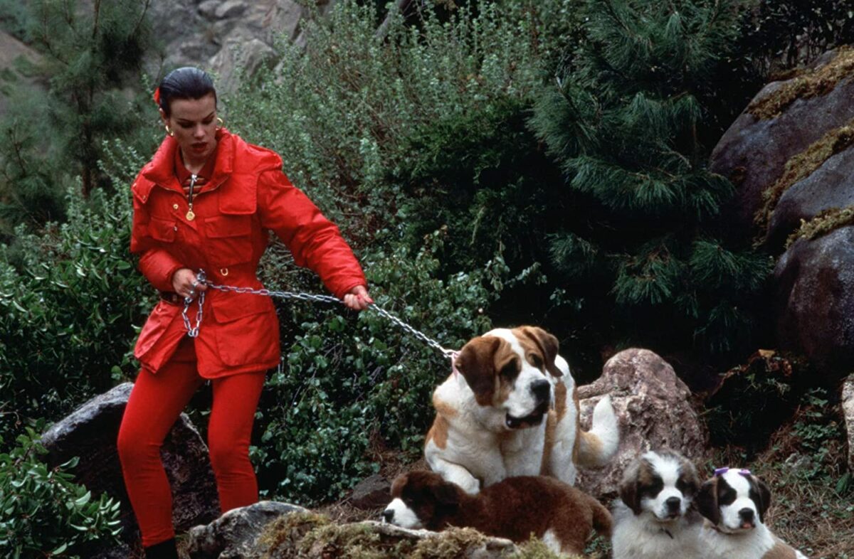 Test Blu-ray / Beethoven 2, réalisé par Rod Daniel – Homepopcorn.fr