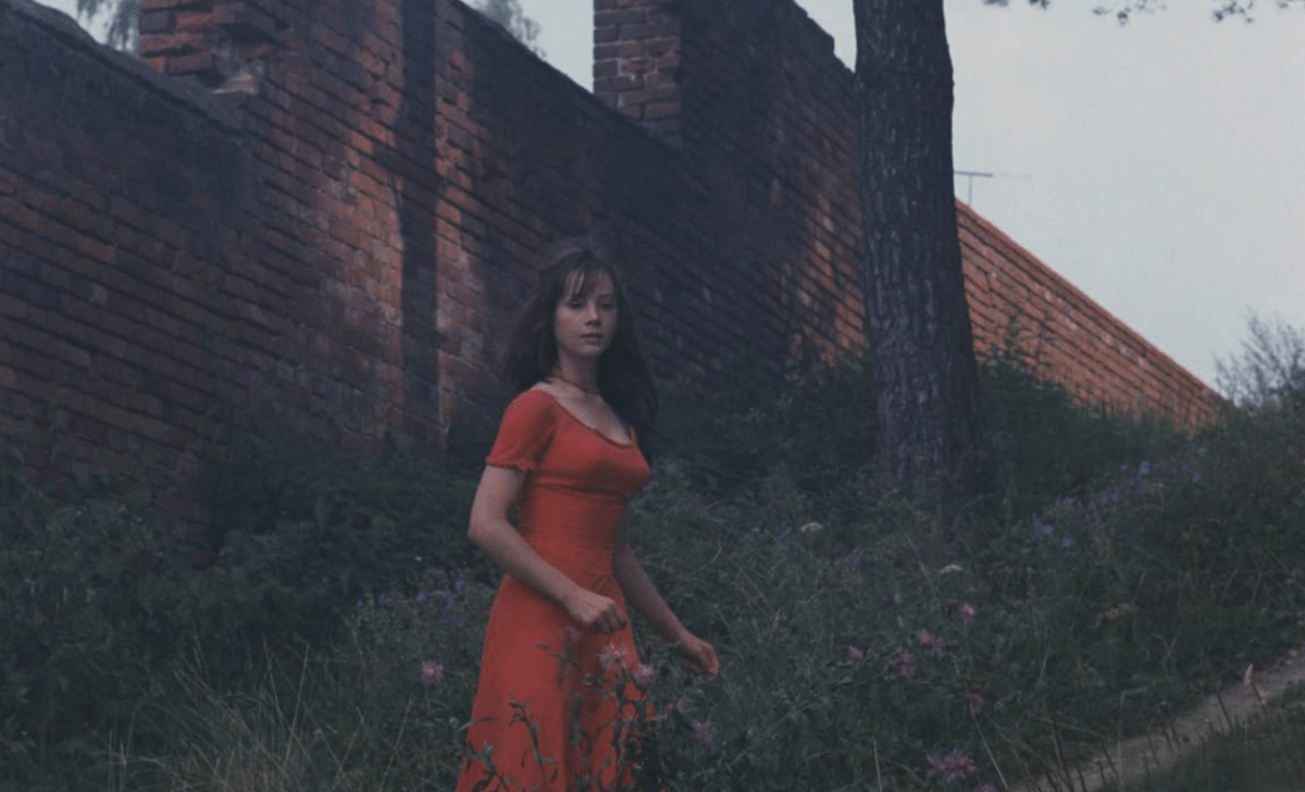 Test Blu-ray / Un accident de chasse, réalisé par Emil Loteanu ...