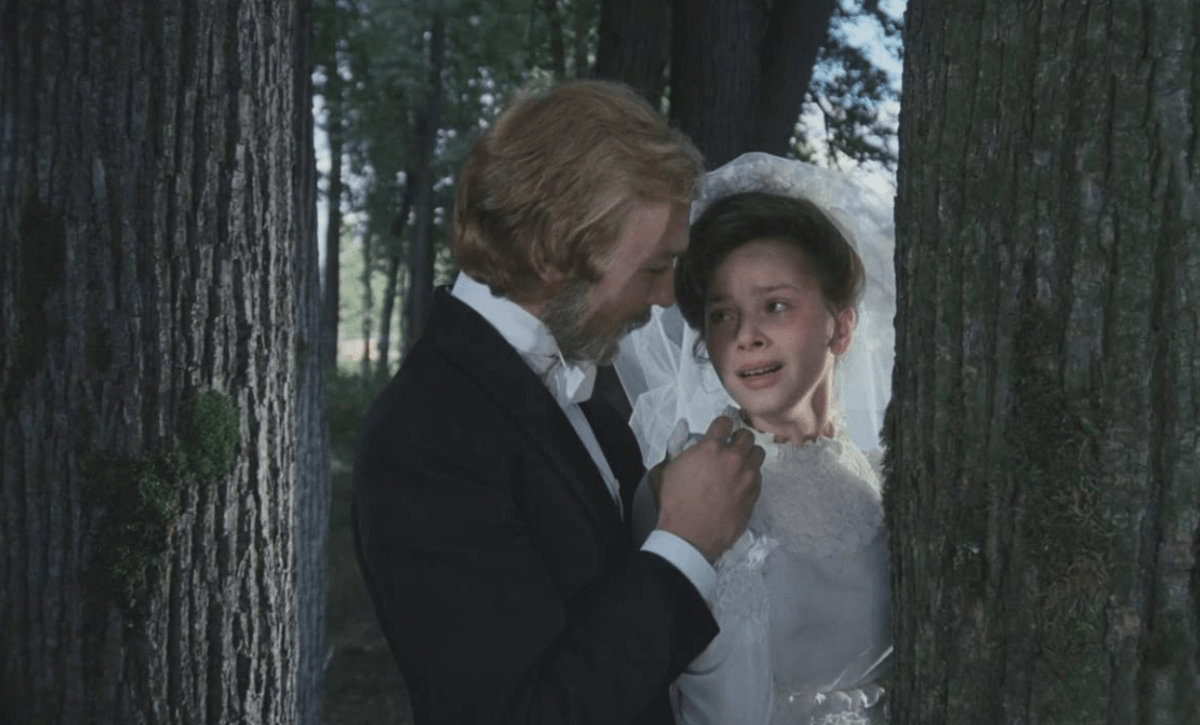 Test Blu-ray / Un accident de chasse, réalisé par Emil Loteanu ...